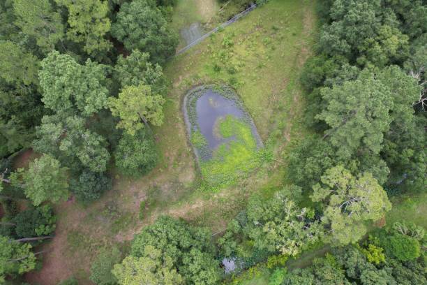 Free picture: aerial, wetland, pond