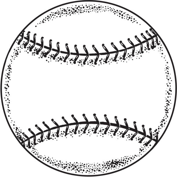 Half Baseball Vector Clipart