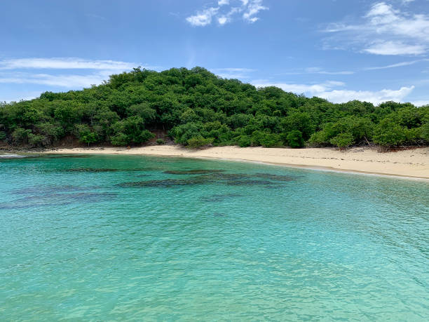 Free Stock Photo of Coral Culebra Sign | Download Free Images and Free ...
