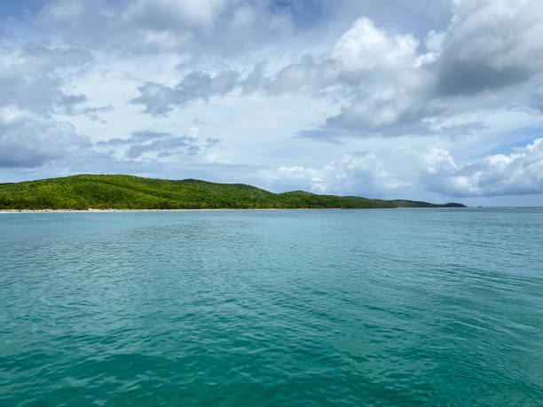 Free Stock Photo of Coral Culebra Sign | Download Free Images and Free ...