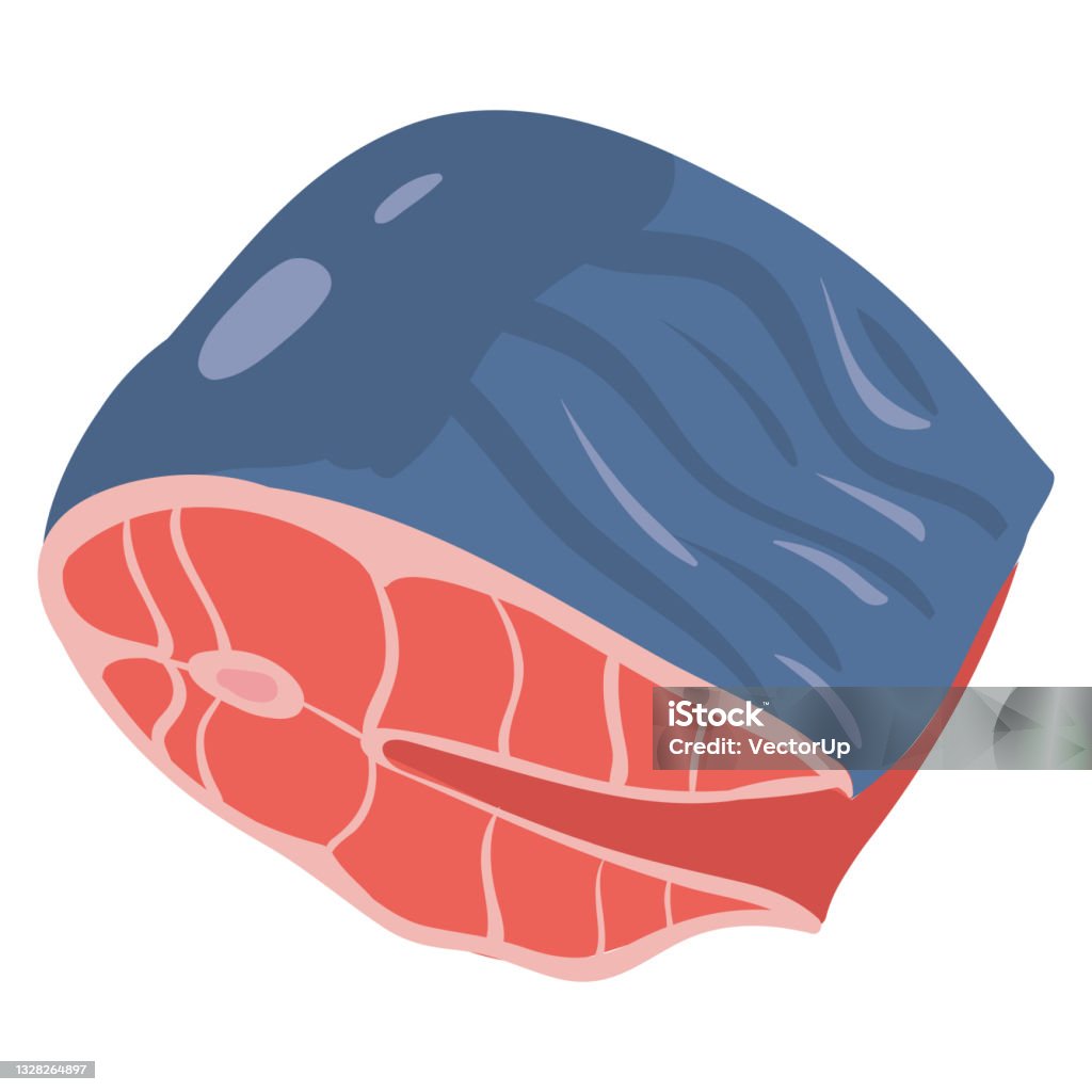 Salmon Piece Slice Natural Healthy Organic Nutrition Product Vector