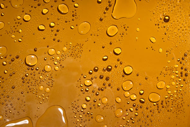 Dewy Skin Pictures | Download Free Images on Unsplash