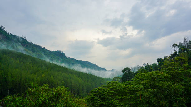 West Java Pictures | Download Free Images on Unsplash