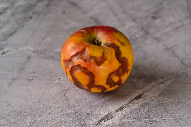 Bad Apple Pictures | Download Free Images on Unsplash