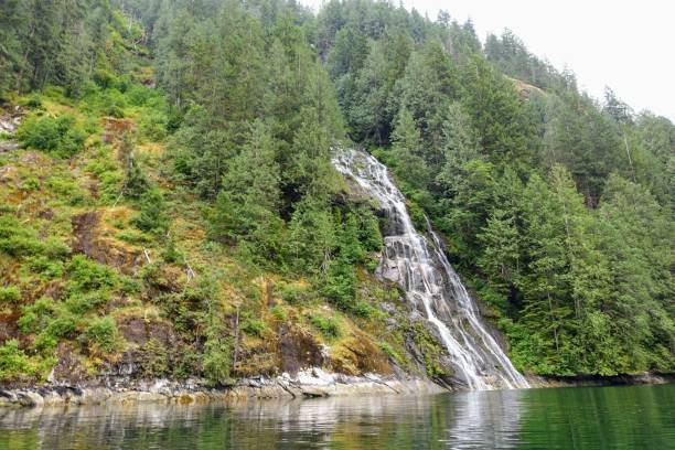 Trickling Waterfall in the Forest – Free Nature Stock