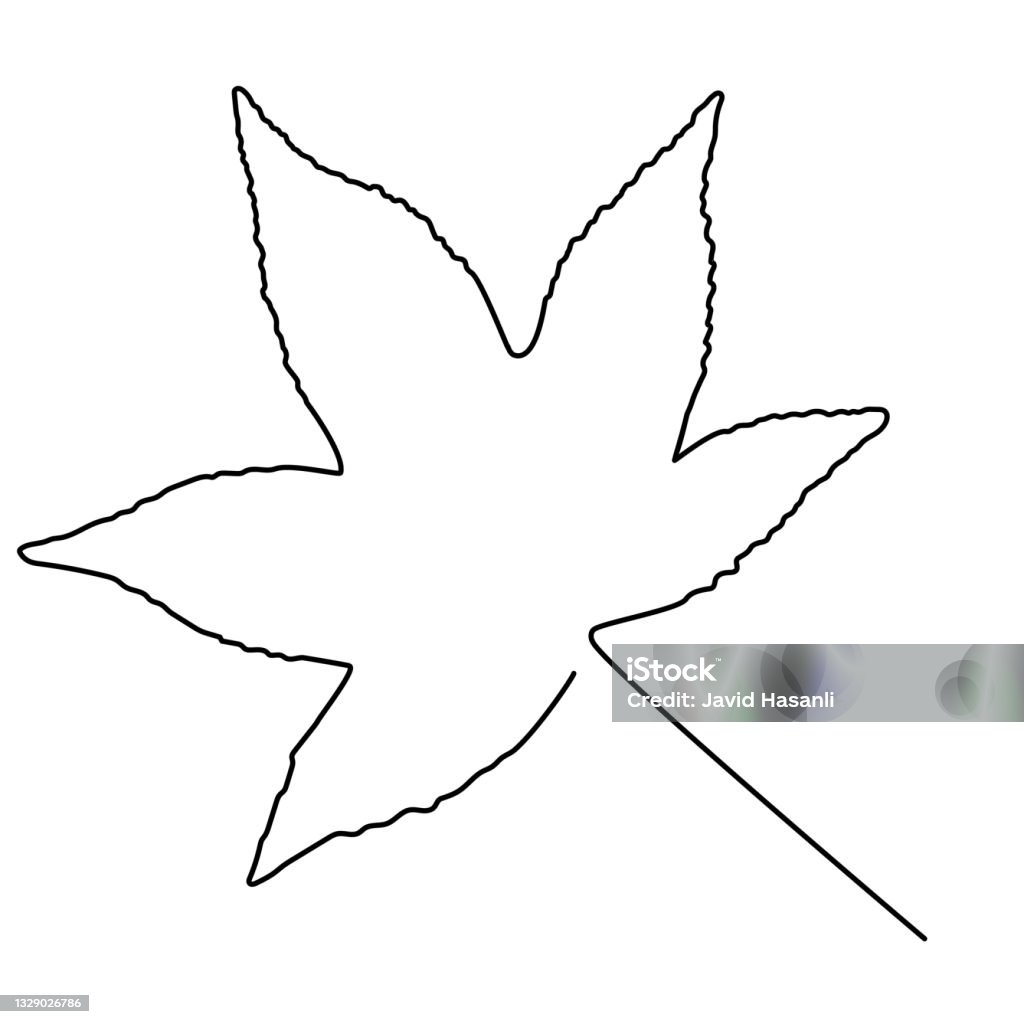 Dessin Au Trait Dun Objet Vectoriel Isolé Feuille Dérable Vecteurs