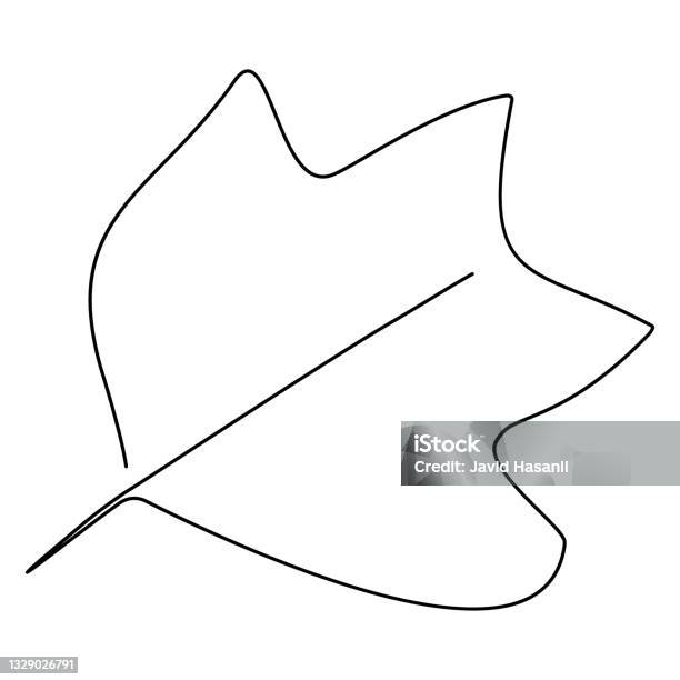 Dessin Au Trait Dun Objet Vectoriel Isolé Feuille Dérable Vecteurs