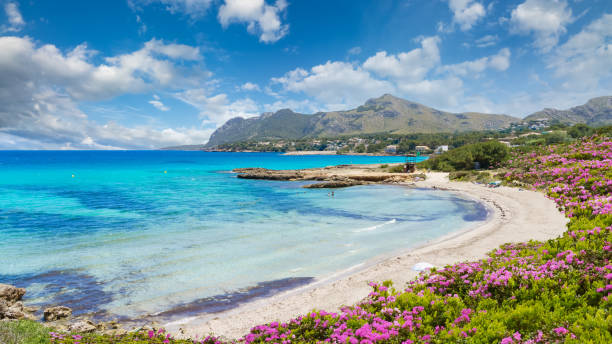 1000+ Mallorca Pictures | Download Free Images on Unsplash