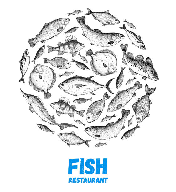 3900 Ikan Sebelah Ikan Laut Ilustrasi Grafik Vektor And Clip Art