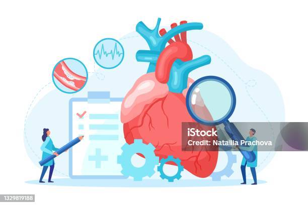 Heart Health Check Up And Tiny Cardiology Specialist With Magnifying