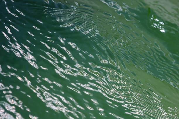 Free Stock Photo of Rippling green water texture closeup | Download ...
