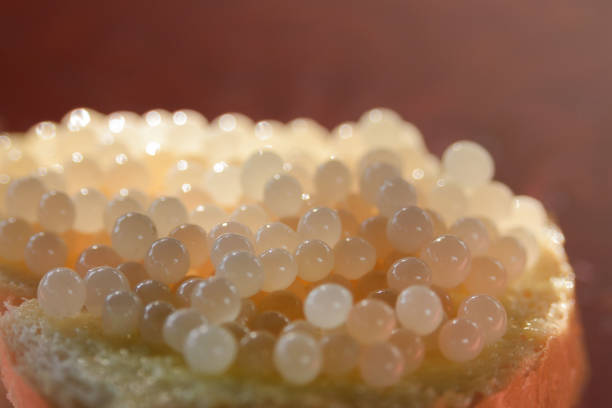 Caviar Pictures | Download Free Images on Unsplash
