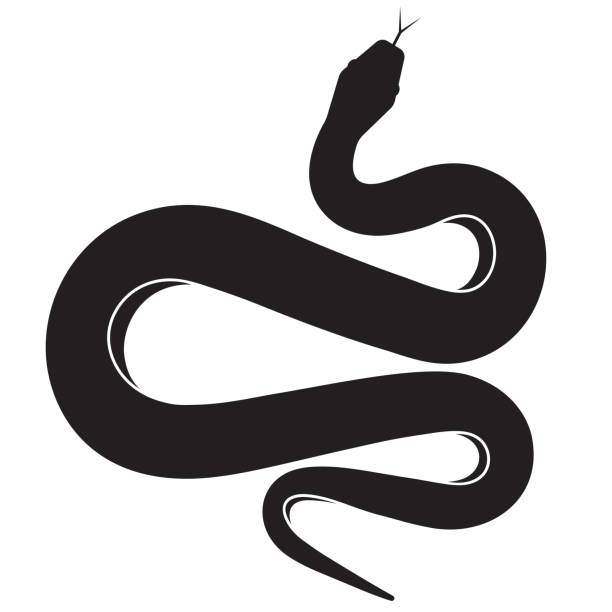 1 500 Morsure De Serpent Stock Illustrations Graphiques Vectoriels