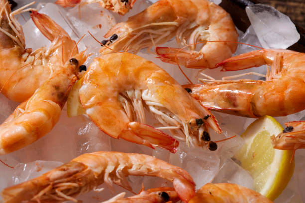 Prawns Pictures | Download Free Images on Unsplash