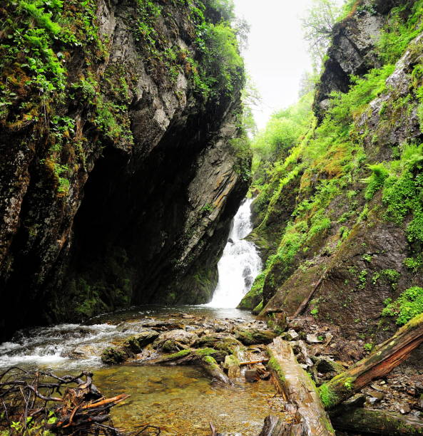 Deep Rock Crevice in the Forest – Free Nature Stock