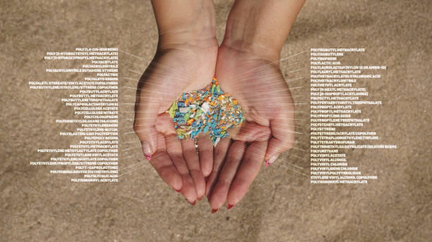 Microplastics Pictures | Download Free Images on Unsplash