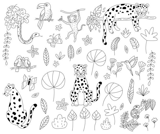 Free Jungle Book Vector Art - Download 1+ Jungle Book Icons & Graphics ...
