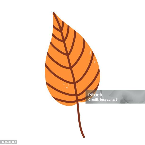 Feuille Dorange Dautomne Isolée Sur Fond Blanc Vecteurs Libres De
