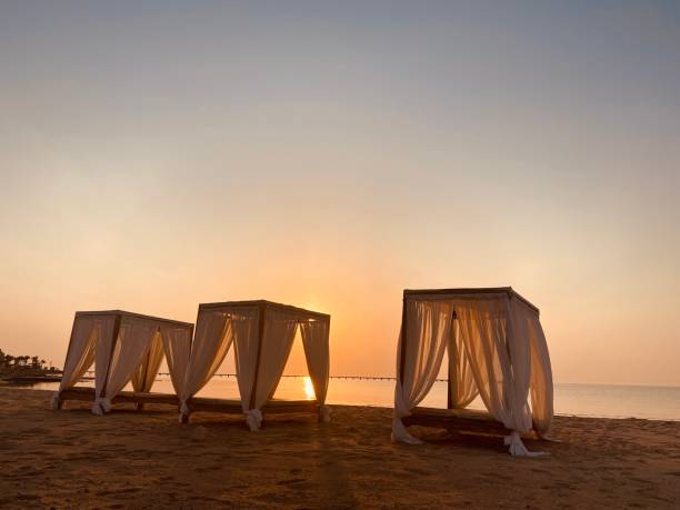 Egypt Beach Pictures | Download Free Images on Unsplash