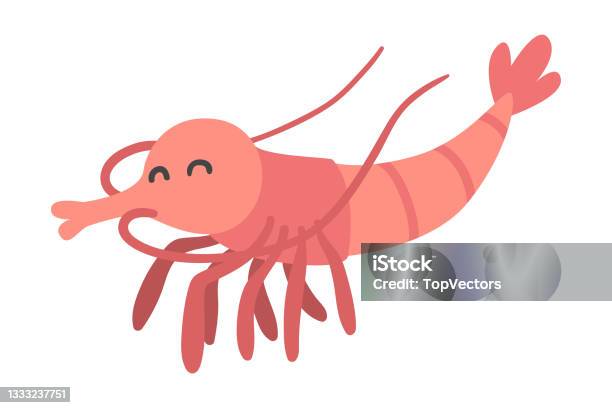 Personnage De Crevette En Tant Que Mammifère Aquatique Avec Drôle De