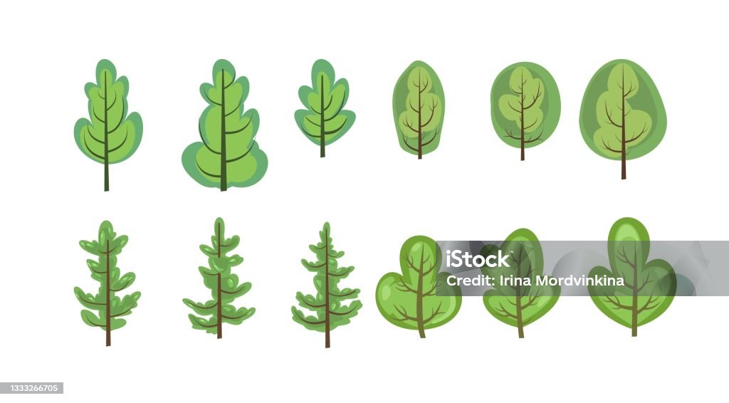 Forêt Plate Ensemble Avec Des Arbres Illustration Dans Un Style