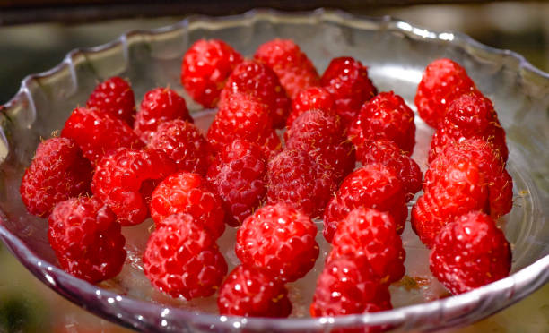 Free picture: raspberry, macro, detail, darkness, reflection, fruit ...