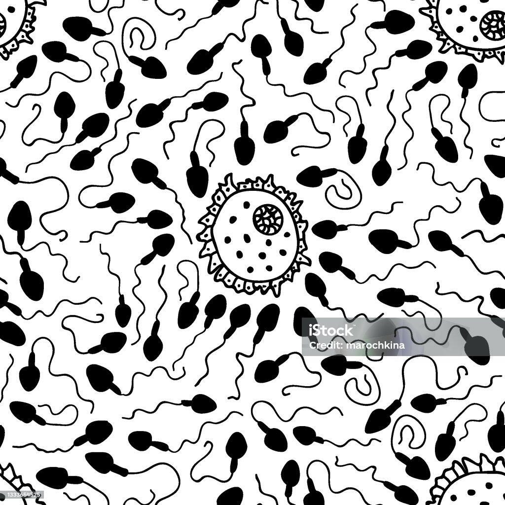 Egg And Sperm Pattern Stock Illustration Download Image Now