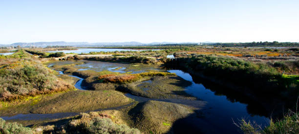 Free Stock Photo of Fiery sunset over the salt marsh of Ria Formosa ...