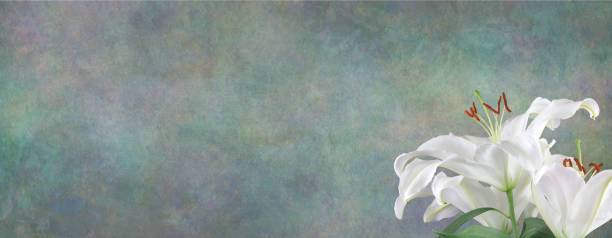 Funeral Program Background Free