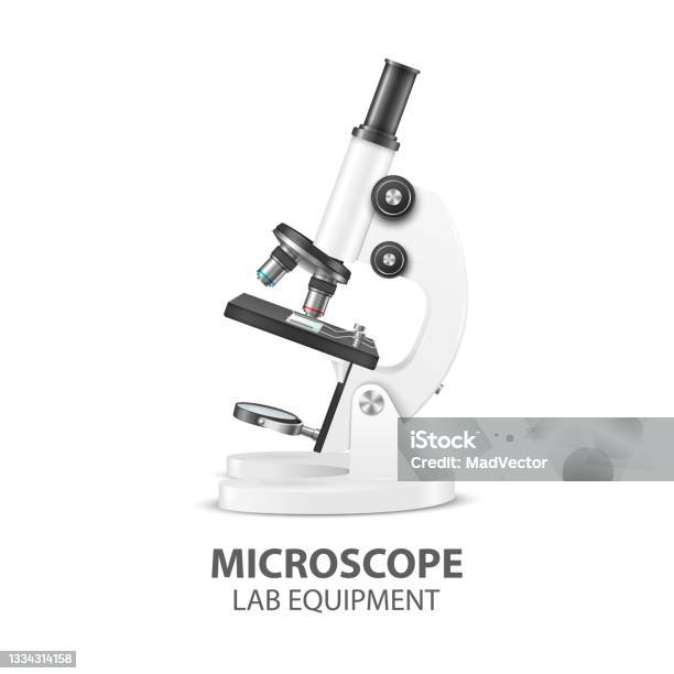 Stock ilustrace Mikroskopické Díly Anatomie Struktury Vektor 3d ... Stock ilustrace Mikroskopické Díly Anatomie Struktury Vektor 3d ...