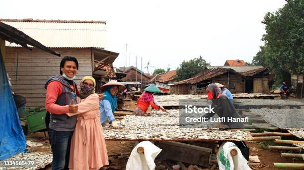 Pekerja Pengolahan Ikan Di Industri Pengeringan Ikan Foto Stok Unduh