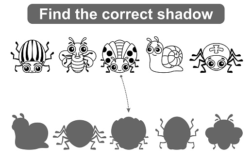 Trouvez Lombre Correcte Jeu Éducatif Pour Enfants Coloriage Des Pages