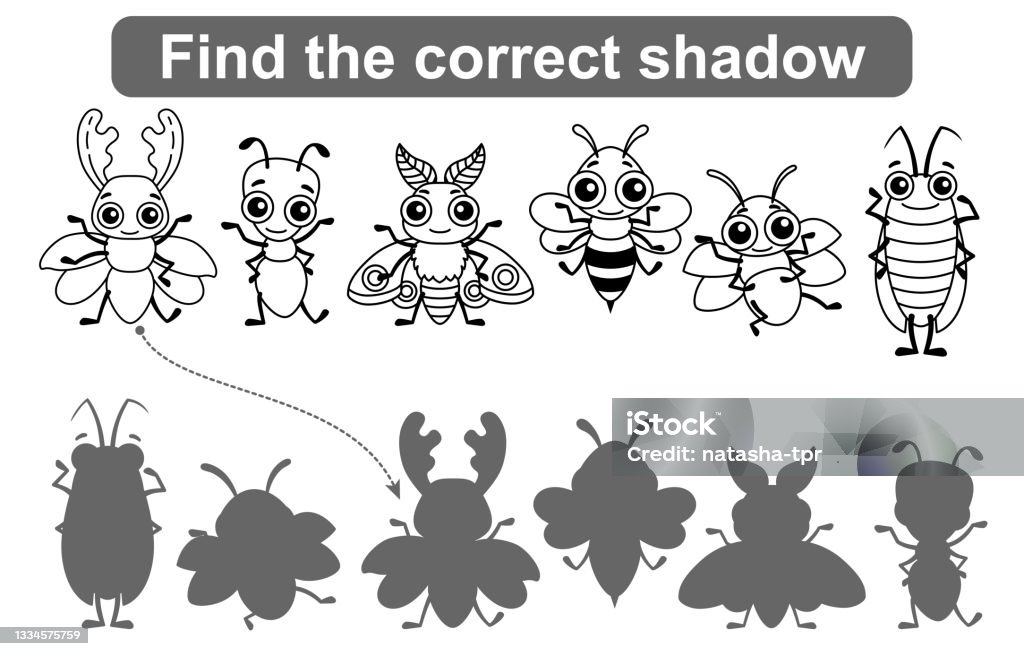 Trouvez Lombre Correcte Jeu Éducatif Pour Enfants Coloriage Des Pages