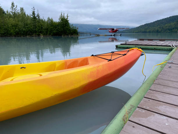 Free Stock Photo of Yellow Canoe and green plants | Download Free ...
