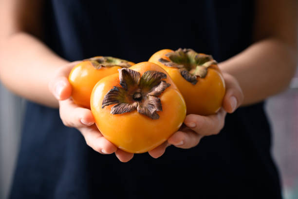 Persimmon Pictures | Download Free Images on Unsplash