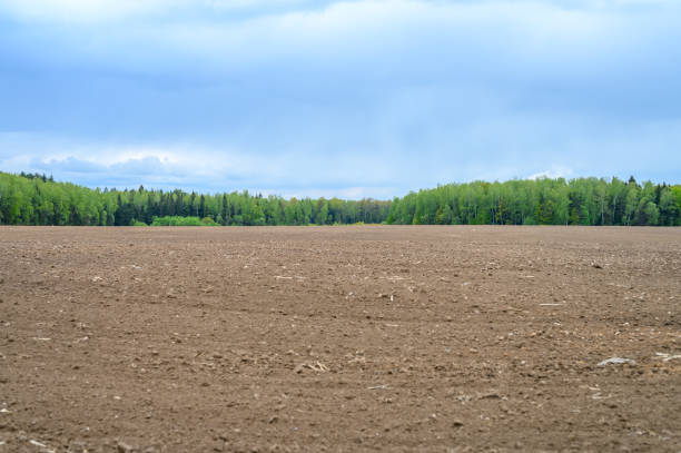 Free picture: Empty agricultural flat field soil in spring time