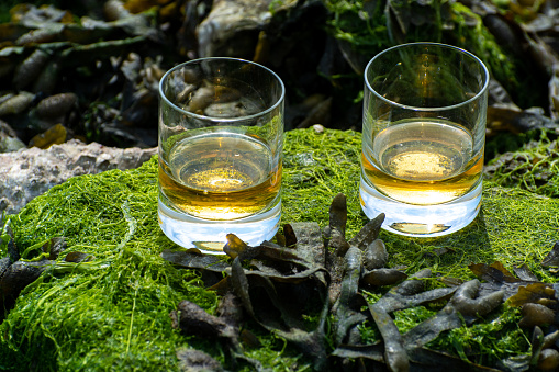 Mencicipi Malt Tunggal Atau Campuran Wiski Scotch Dan Dasar Laut Saat ... Mencicipi Malt Tunggal Atau Campuran Wiski Scotch Dan Dasar Laut Saat ...