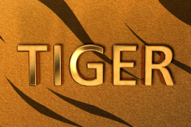 Tiger Wallpaper Pictures | Download Free Images on Unsplash