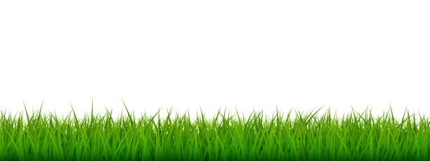 3200 Astroturf Background Stock Illustrations Royalty Free Vector