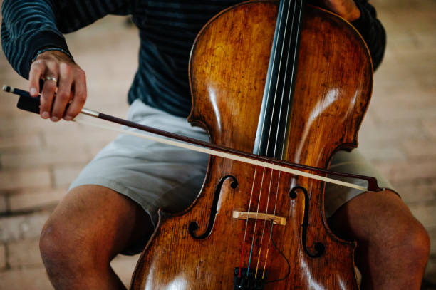 100+ Cello Pictures | Download Free Images on Unsplash