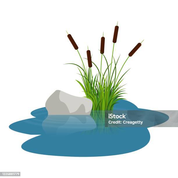 Bush Reeds With Stone On The Water Reeds Stern And Grey Stone Reflected ... Bush Reeds With Stone On The Water Reeds Stern And Grey Stone Reflected ...