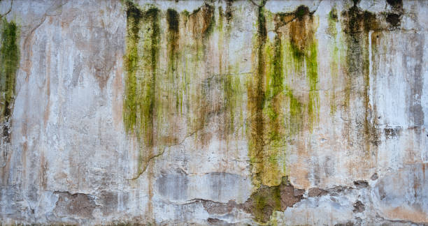 Free picture: horizontal, masonry, bricks, decay, texture, abandoned ...