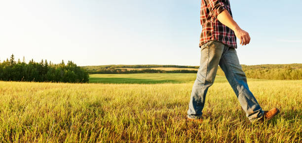 Free Stock Photo of Man Walking Through a Field of Tall Grass ...