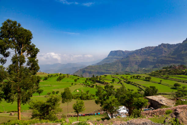 30k+ Yemen Pictures | Download Free Images on Unsplash