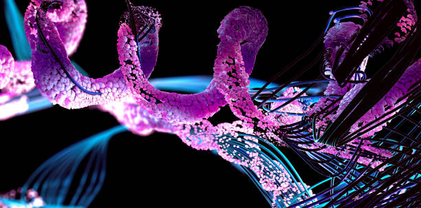 Protein Structure Pictures | Download Free Images on Unsplash