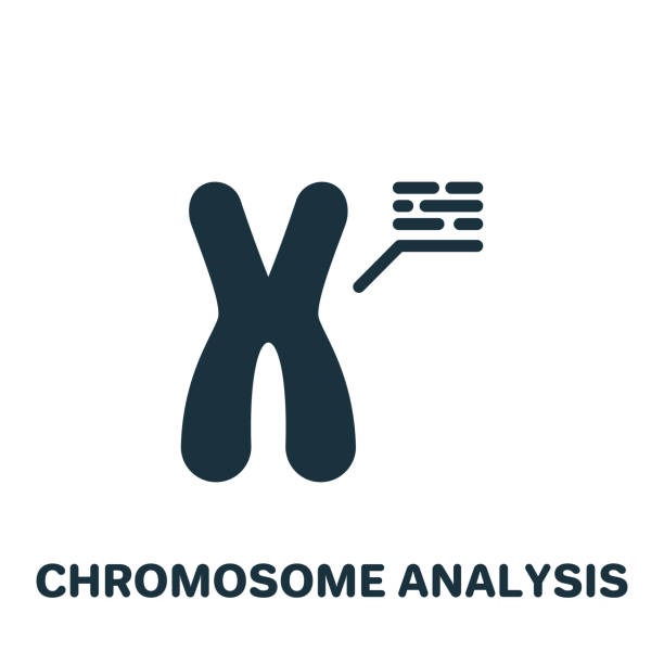 80 Xy Chromosomes Stock Illustrations Royalty Free Vector Graphics