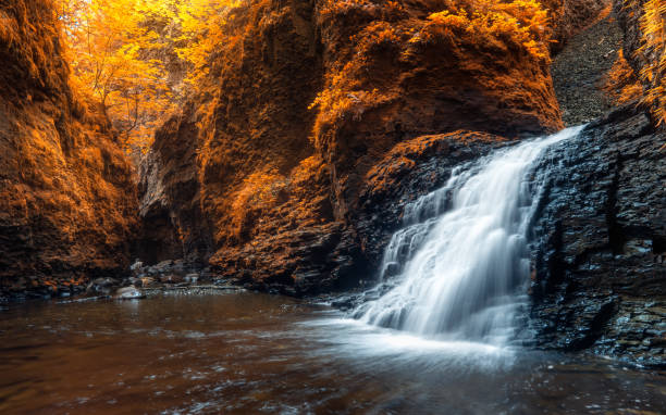 Best 500+ Minnesota Pictures | Download Free Images on Unsplash