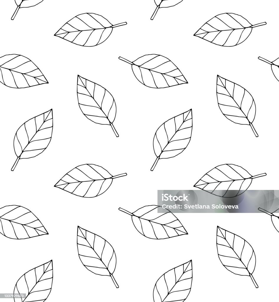 Pola Mulus Vektor Daun Sketsa Doodle Yang Digambar Tangan Ilustrasi