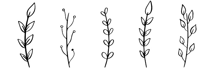 Ensemble Dicônes De Branches Darbre Collection De Brindilles Dessinées
