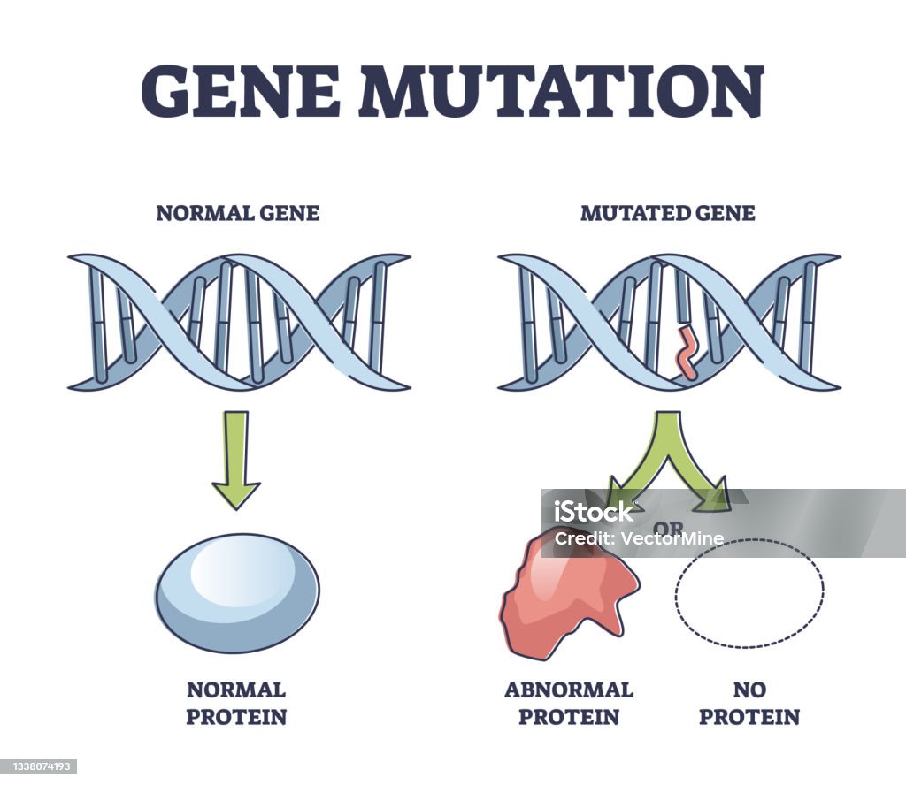 Gene Mutation Models Comparison With Abnormal Helix Protein Outline ... Gene Mutation Models Comparison With Abnormal Helix Protein Outline ...